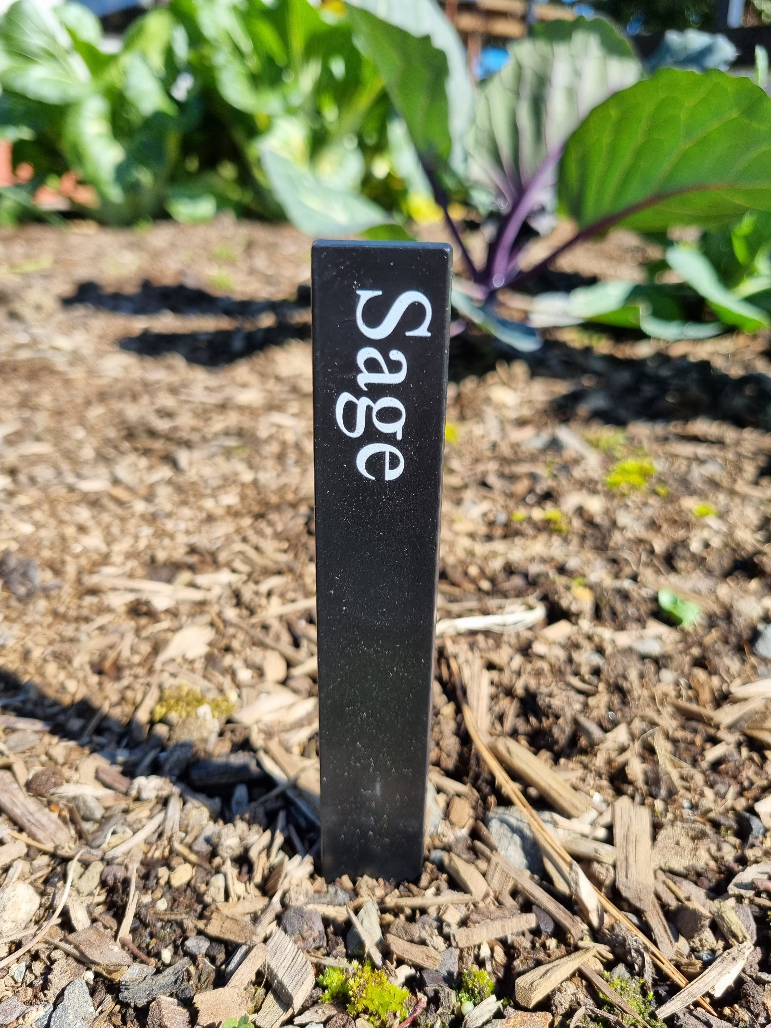 Recycled Herb Label - Sage – oasisgardennz