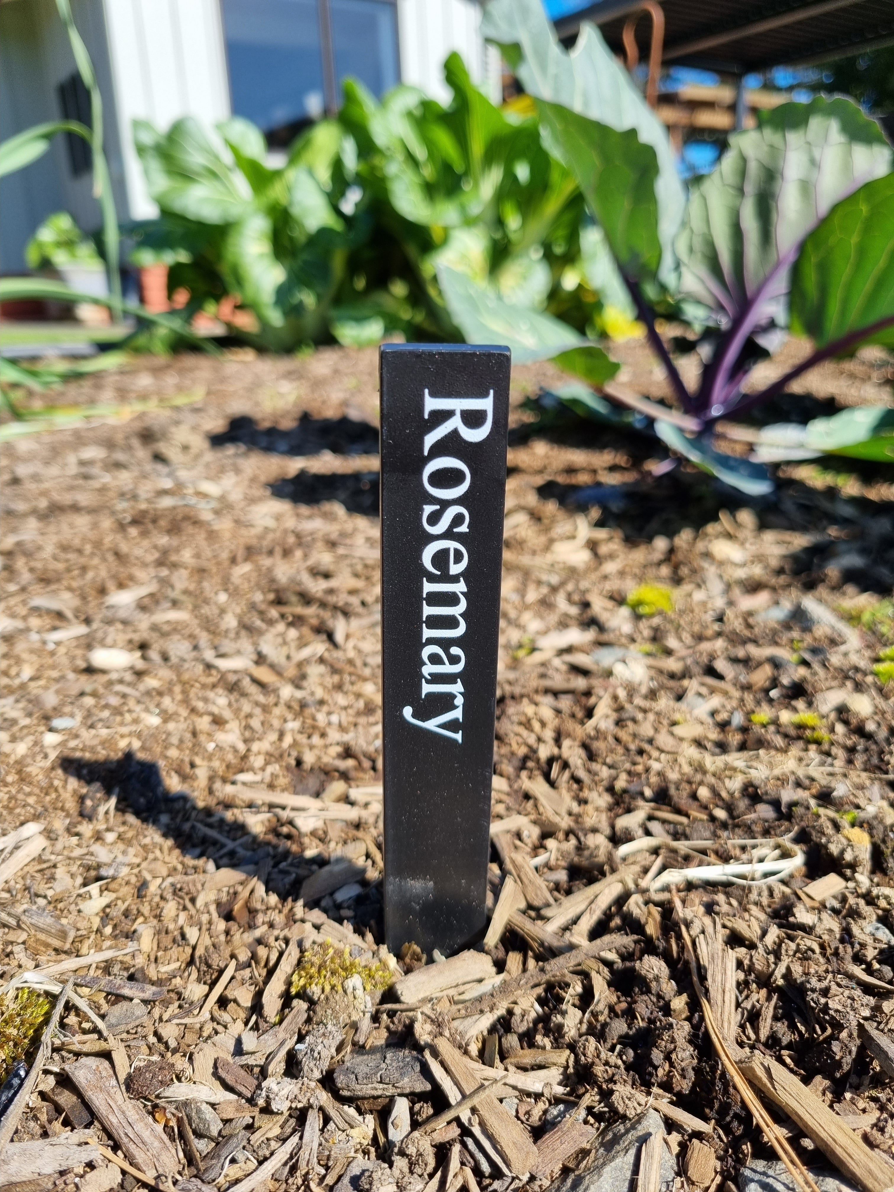 Recycled Herb Label - Rosemary – oasisgardennz