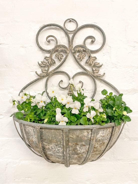 French Wall Planters – oasisgardennz