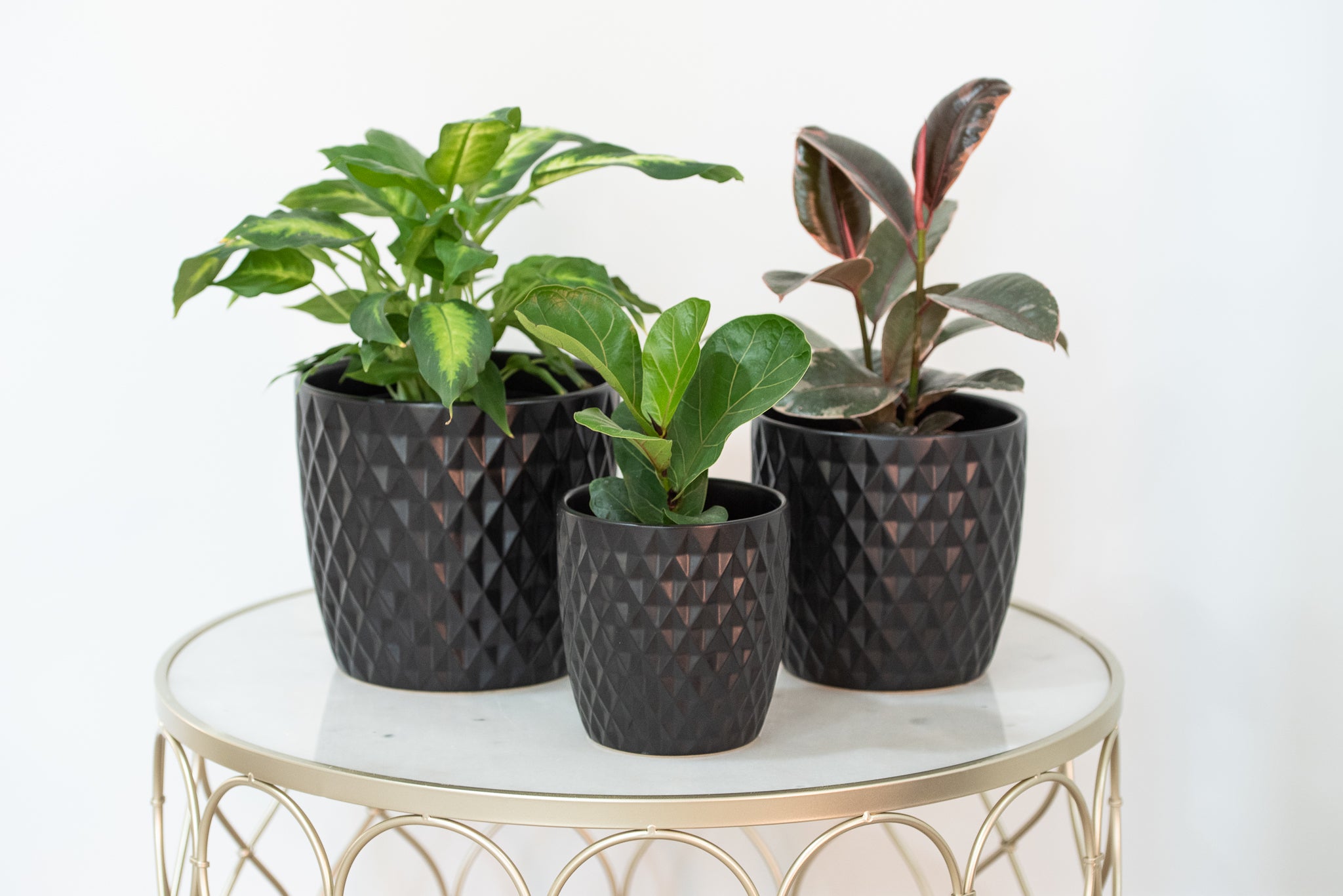 Diamond Pots - Black – oasisgardennz